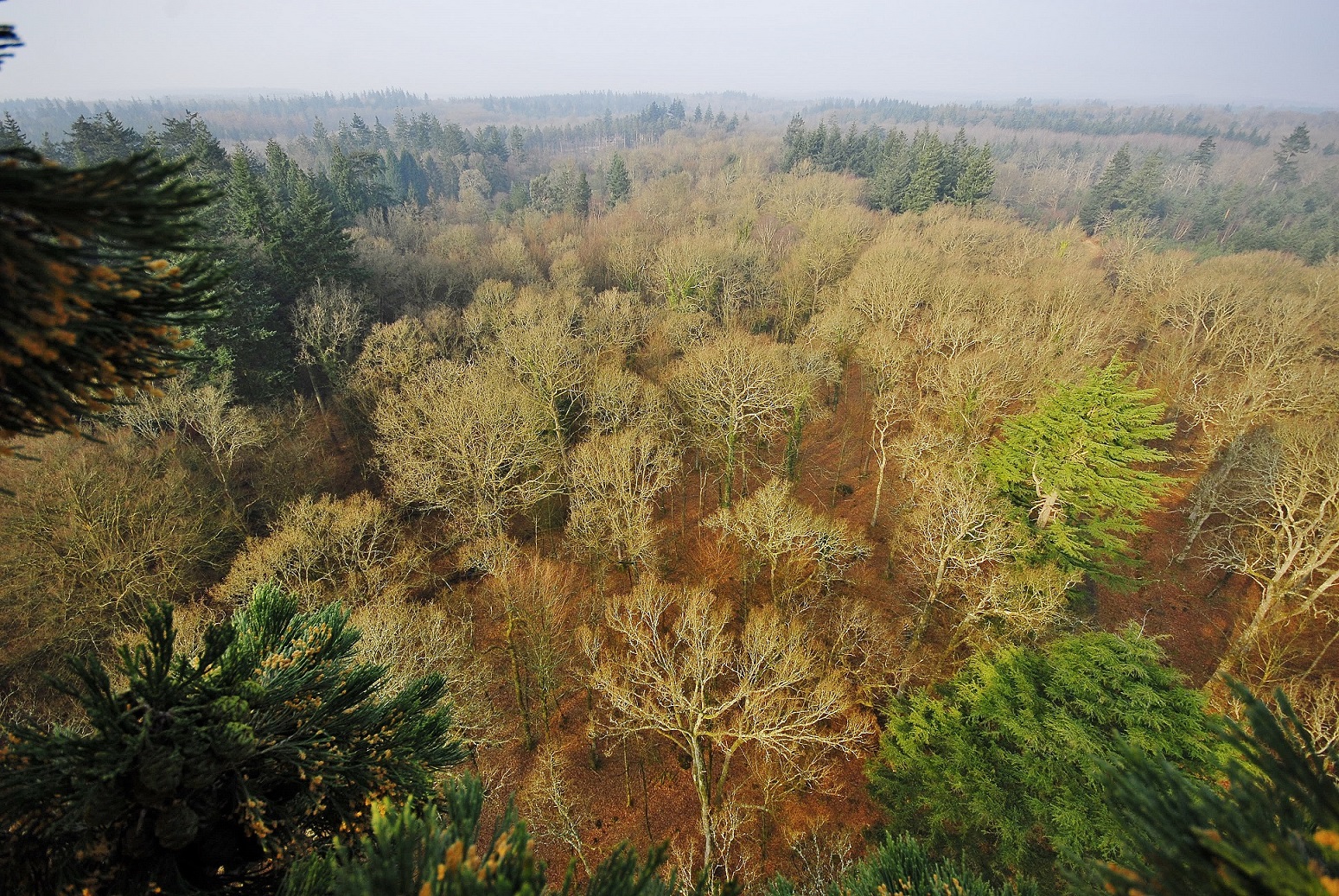 JAMES ALDRED — Radio