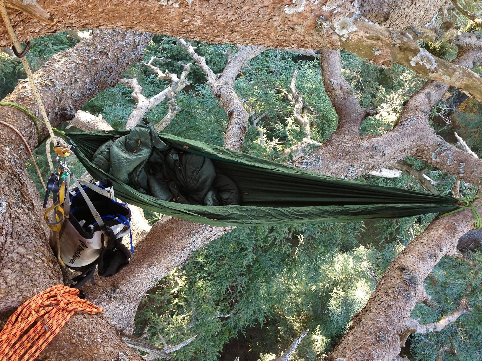 JAMES ALDRED — Radio