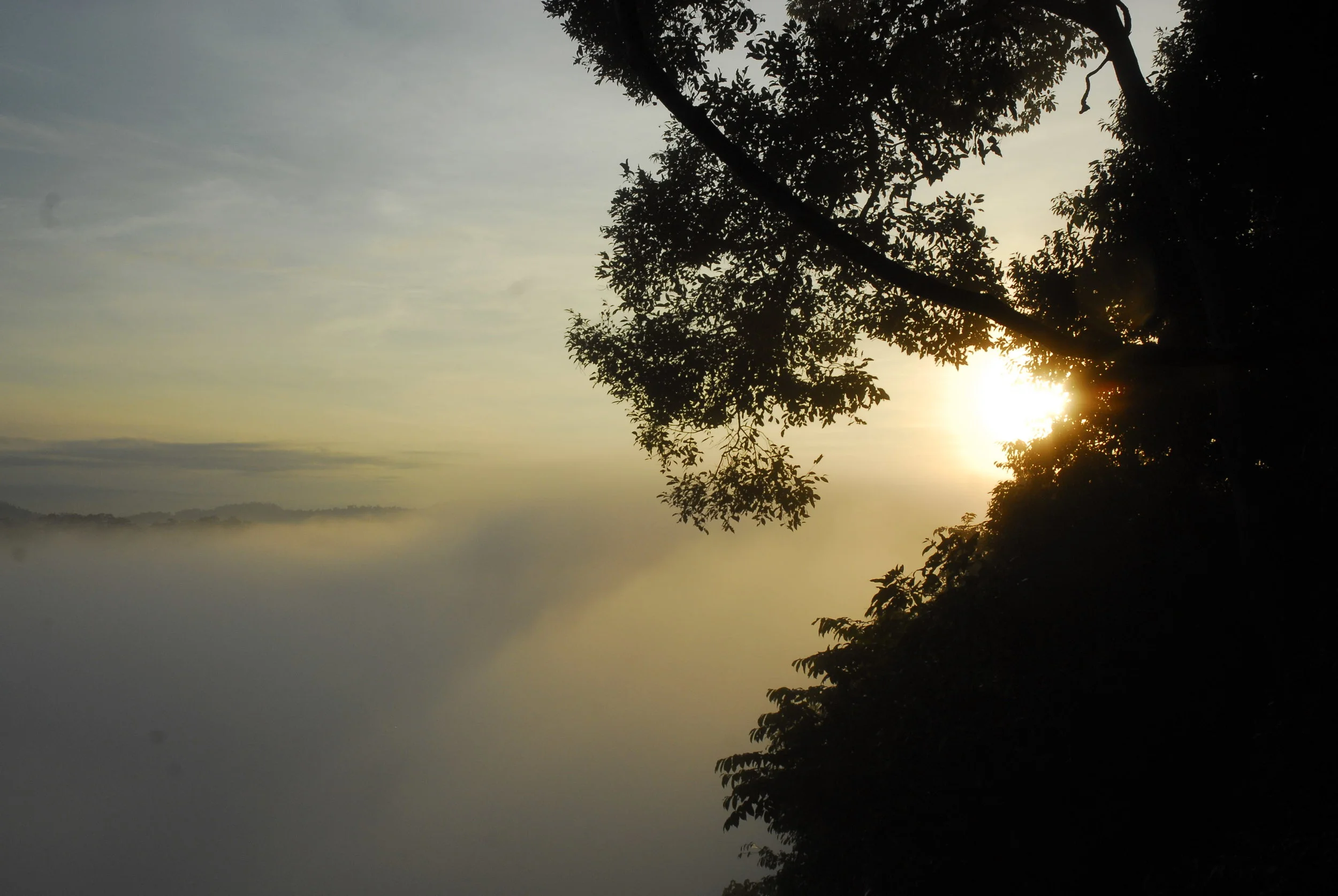 JAMES ALDRED — Filming