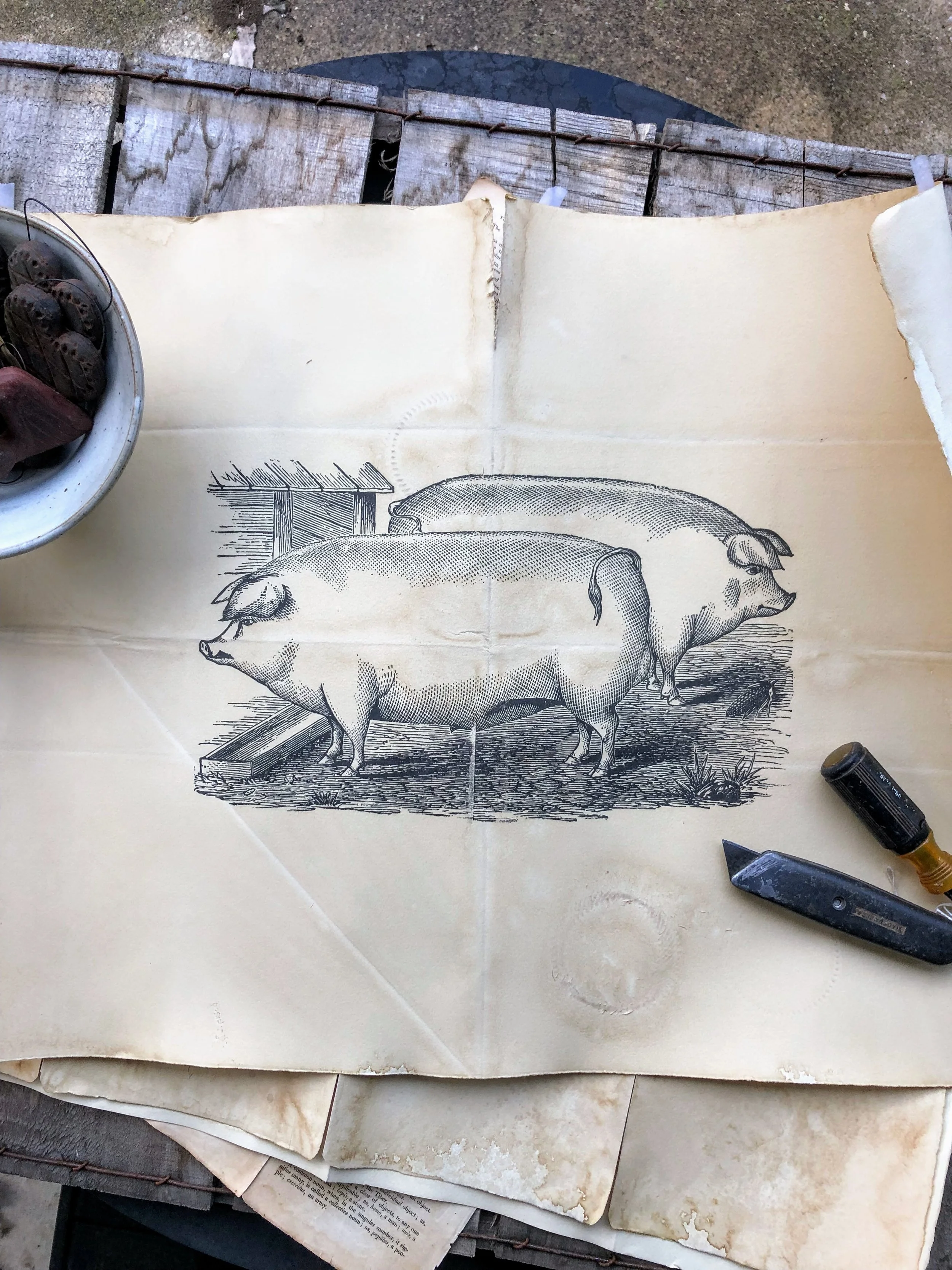 Well Considered Prints