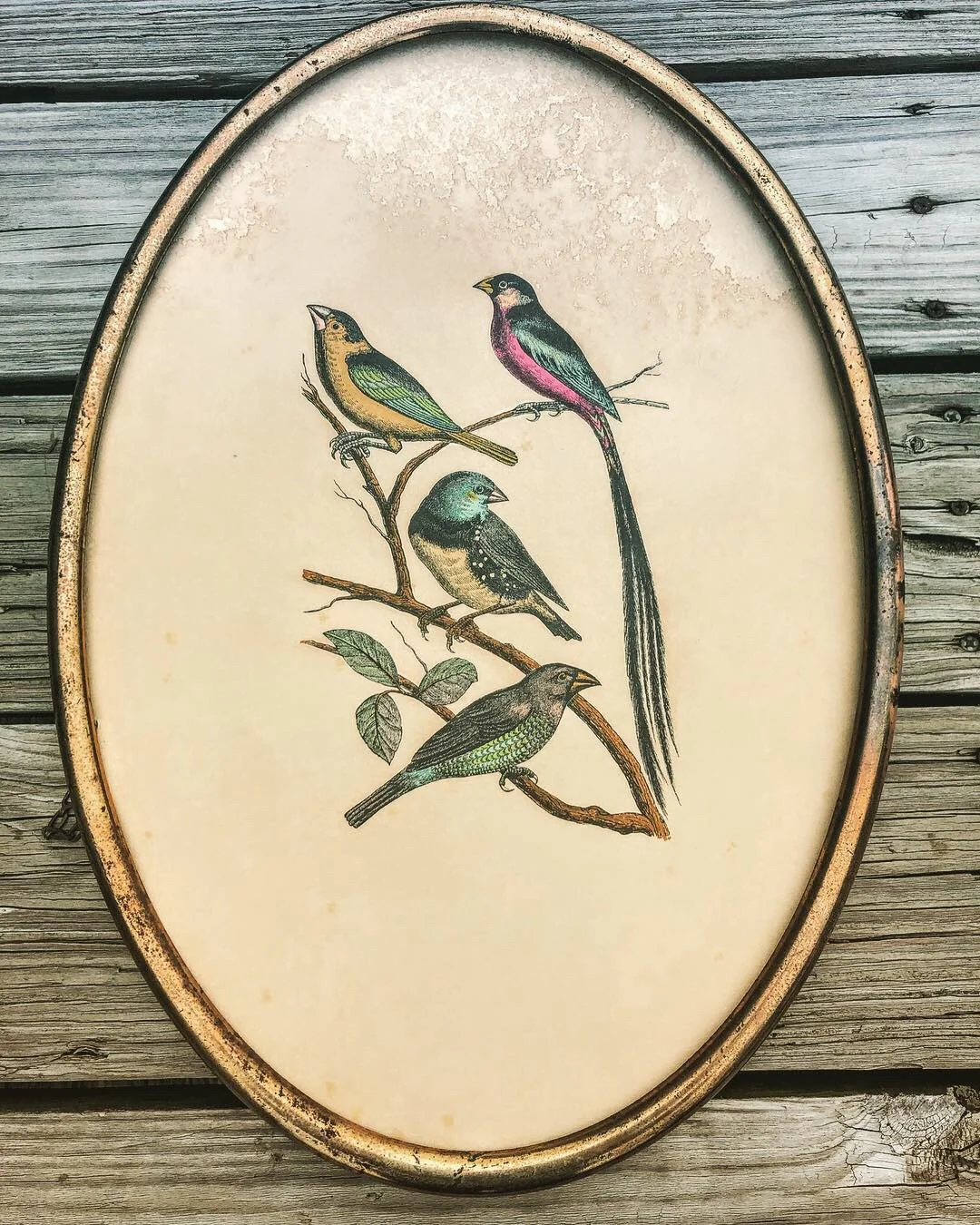 Well Considered Prints