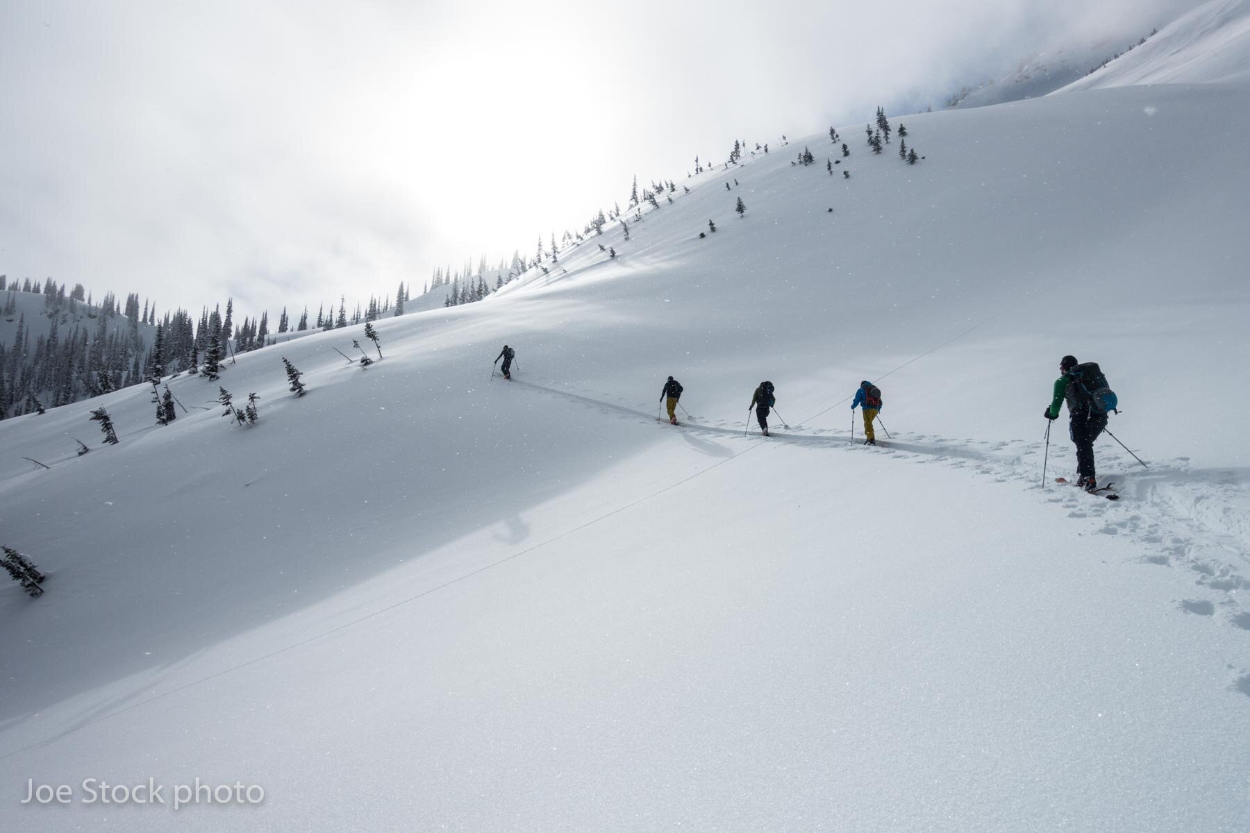 Skin Track Setting — Joe Stock