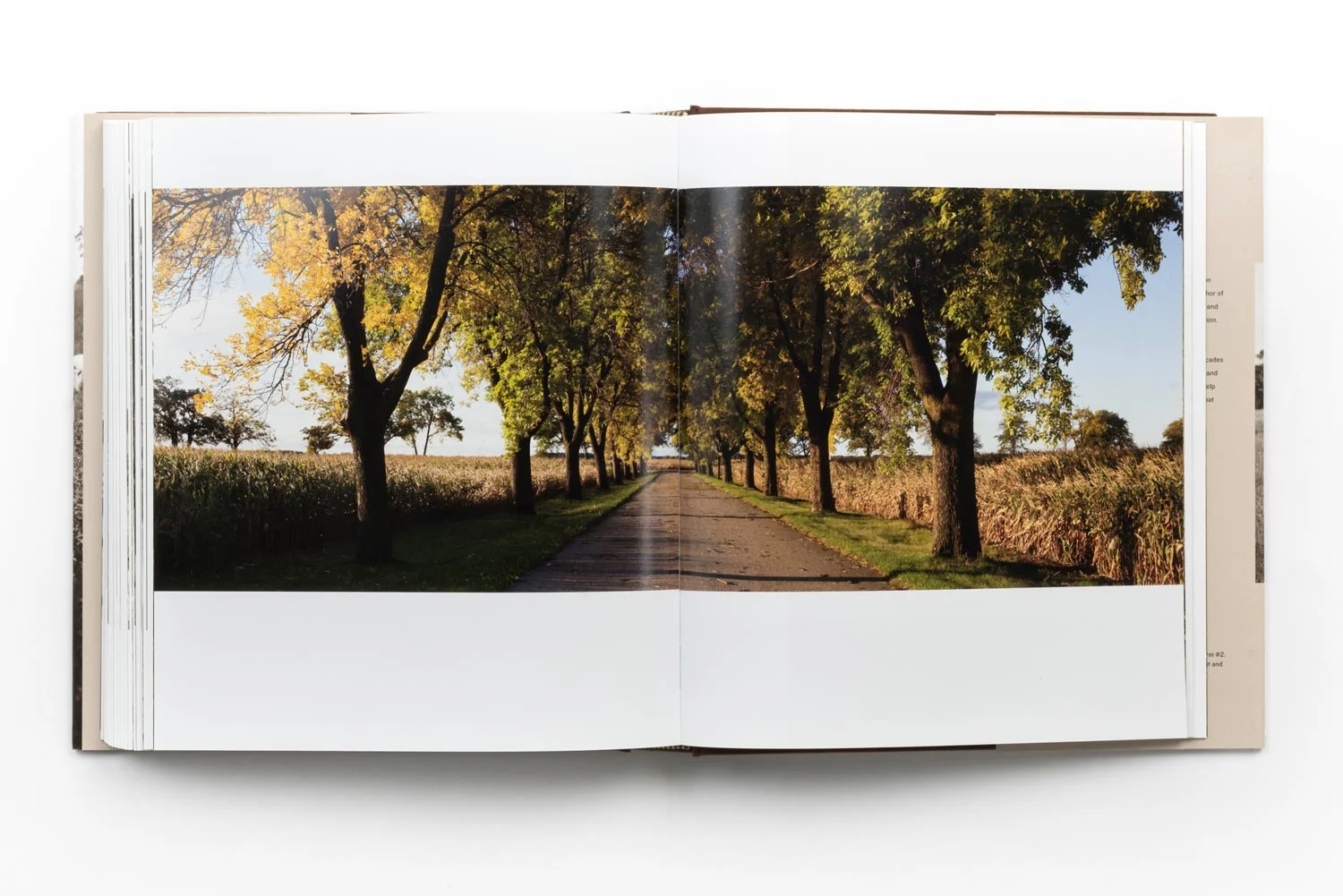 Pabst Farms: The History of a Model Farm — Wonderfull Design | BRANDING ...