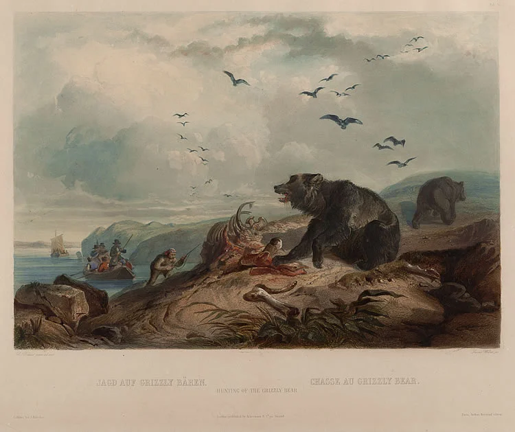 About — The California Grizzly Research Network