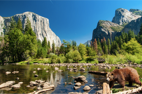 About — The California Grizzly Research Network