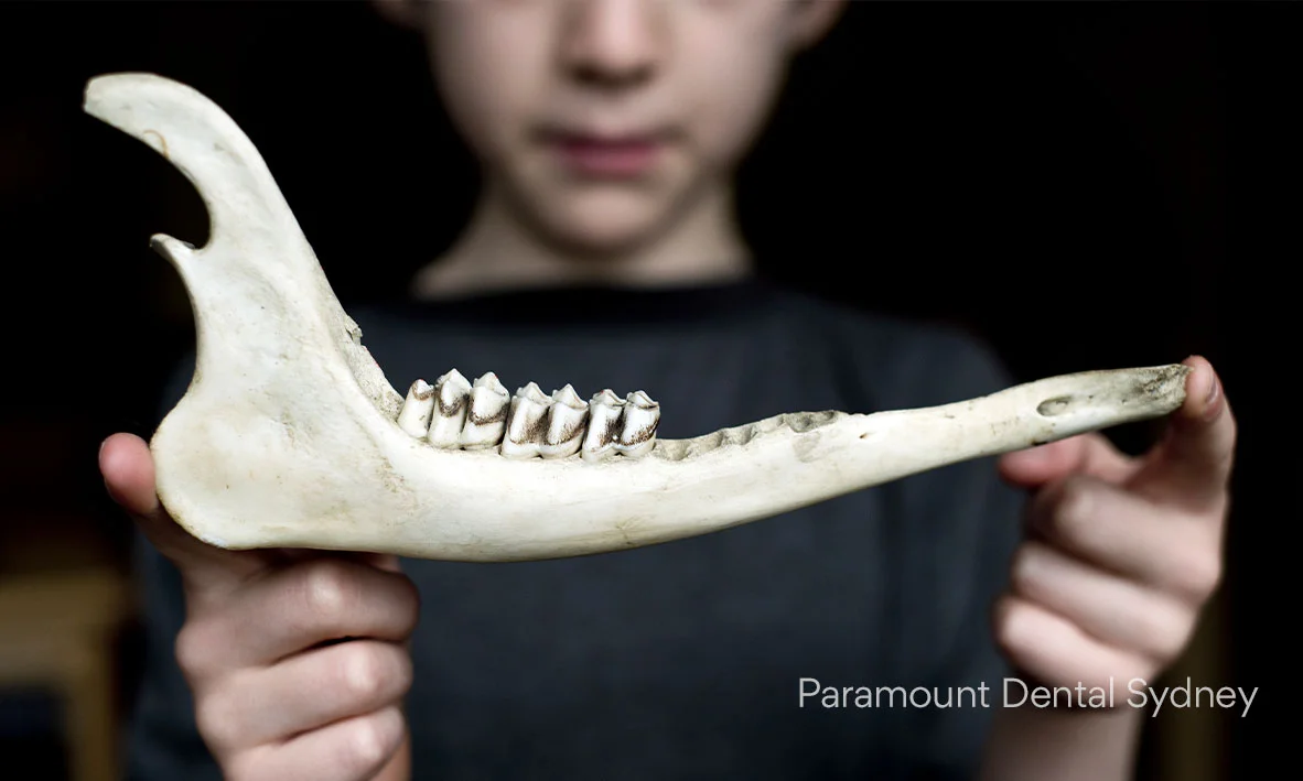 Your Ancestors And Your Teeth — Paramount Dental Sydney