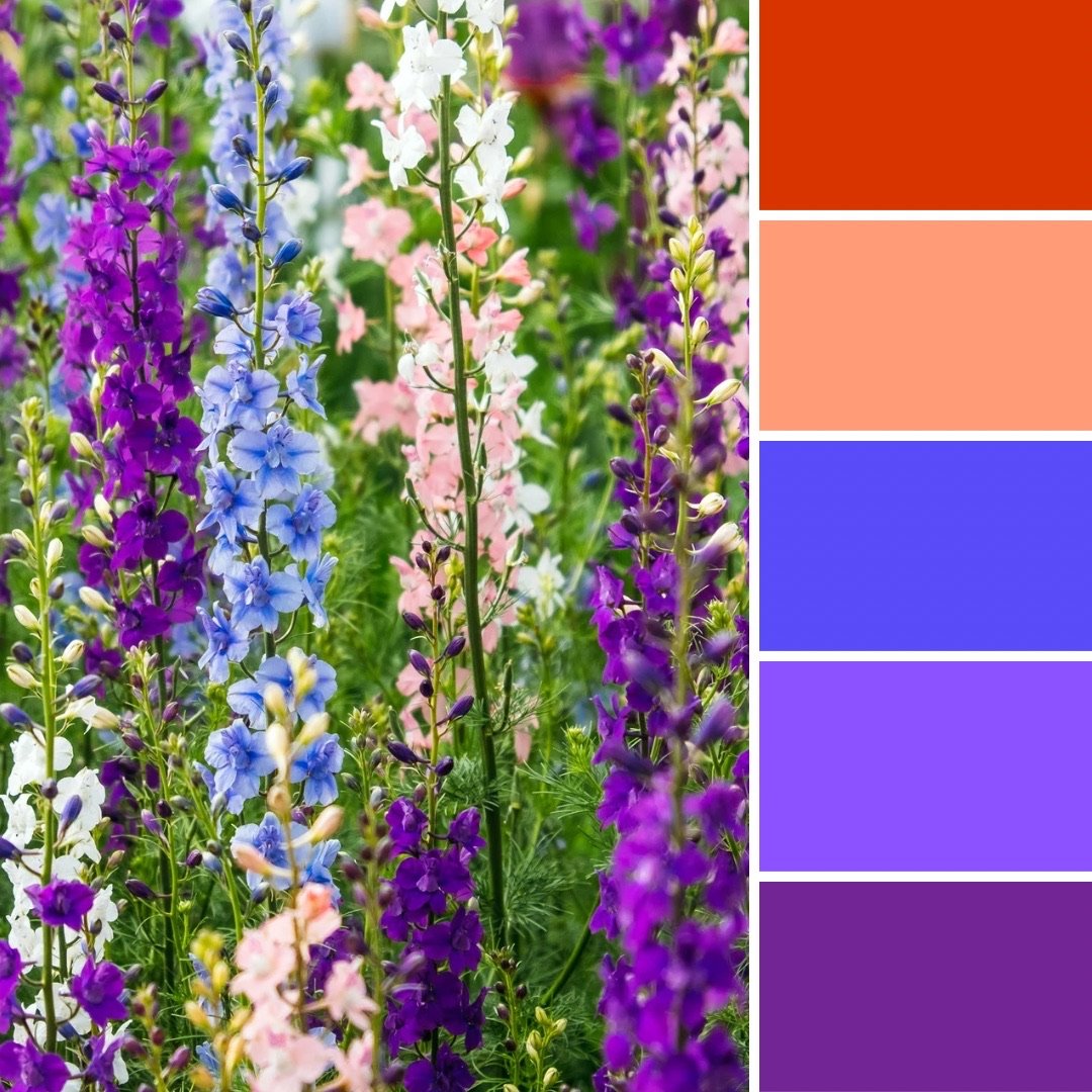 July Larkspur Quilt Palette: An Explosion of Flowers – La Bizarra Quilts