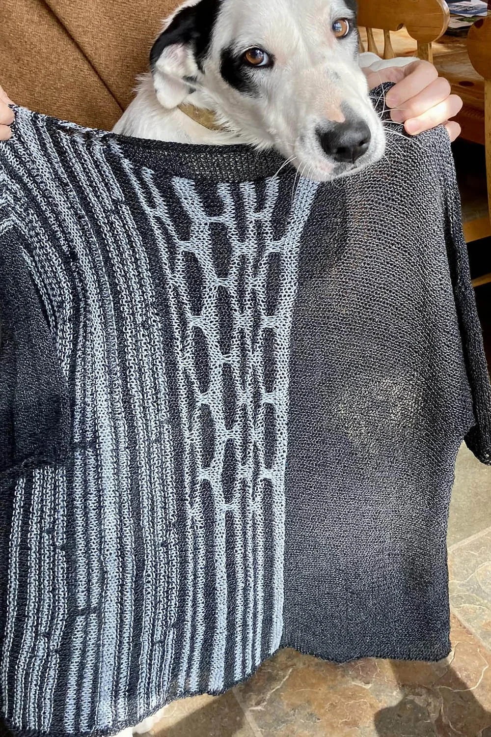 Winter/23 Bamboo — DanDoh