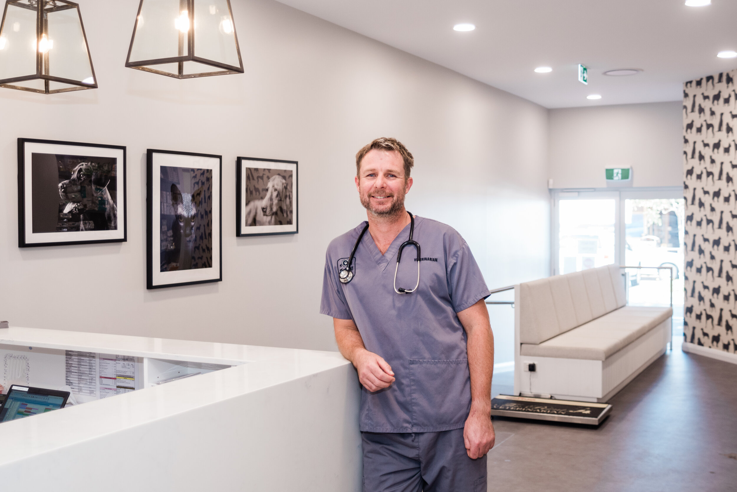 THE POINT VET | PARADISE POINT