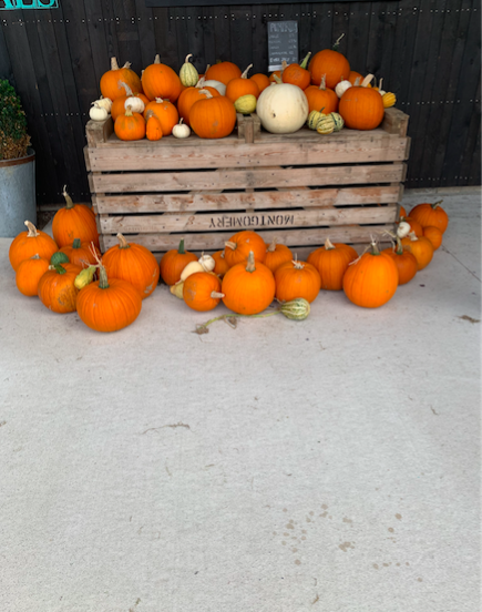 Blog posts — KitchenJoy Cookery School