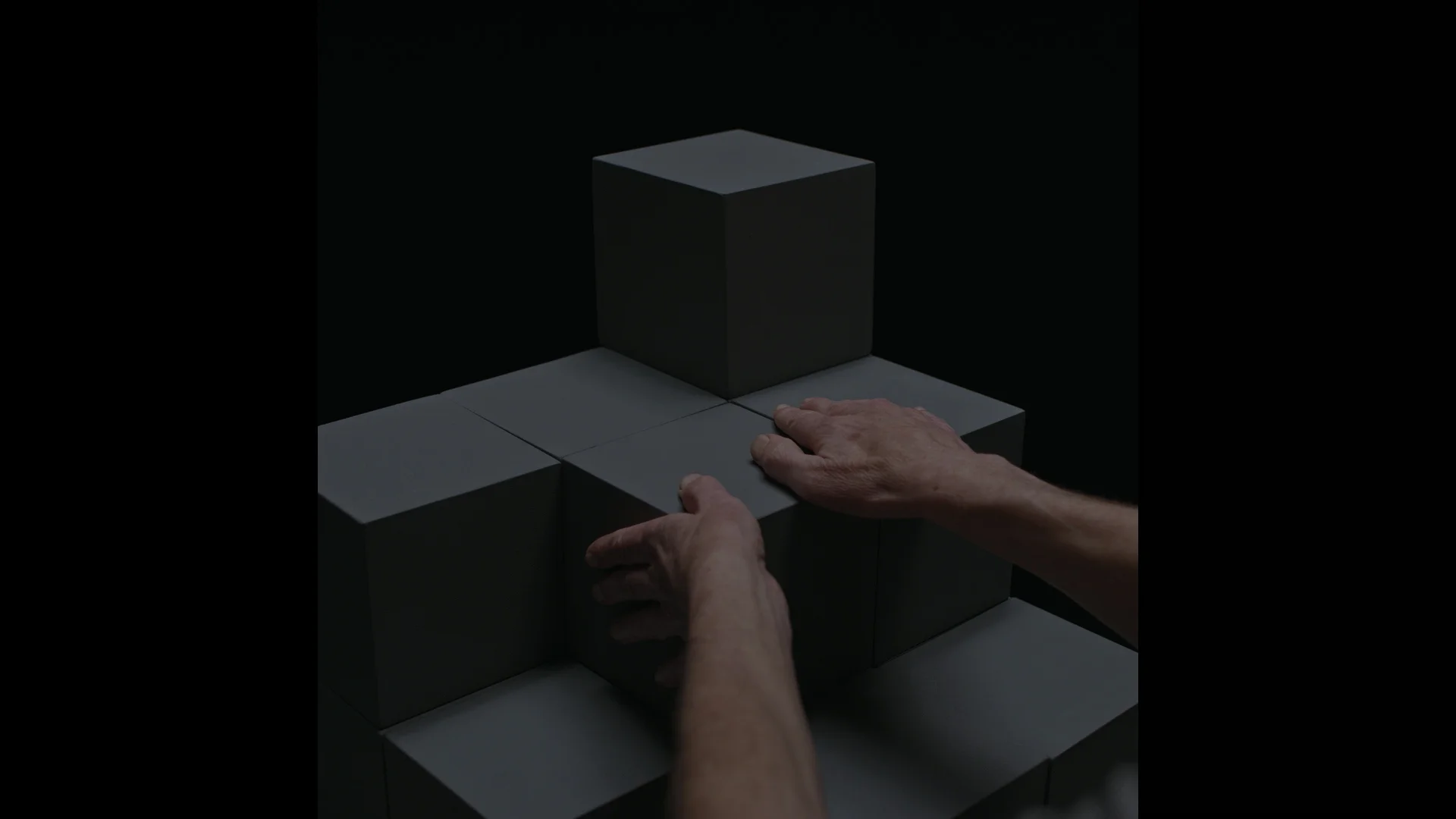 Frequencies (Thomas R Peeters) — Animal Tank