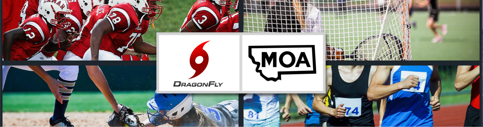 MOA Officials Cards — DragonFly