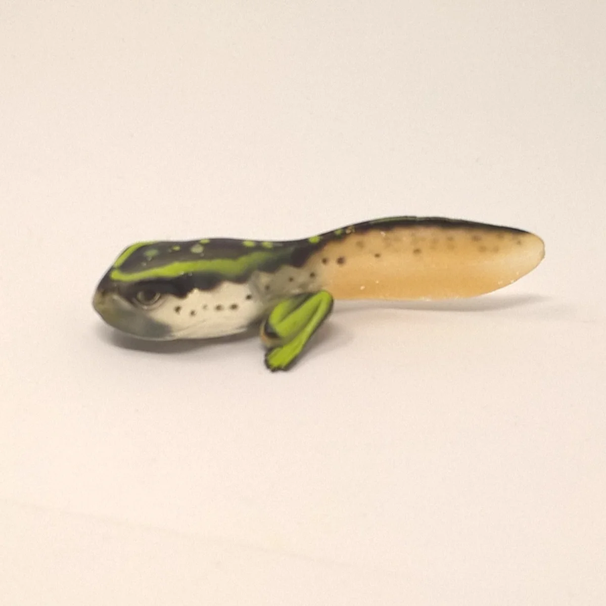 Tadpole With Hind Legs