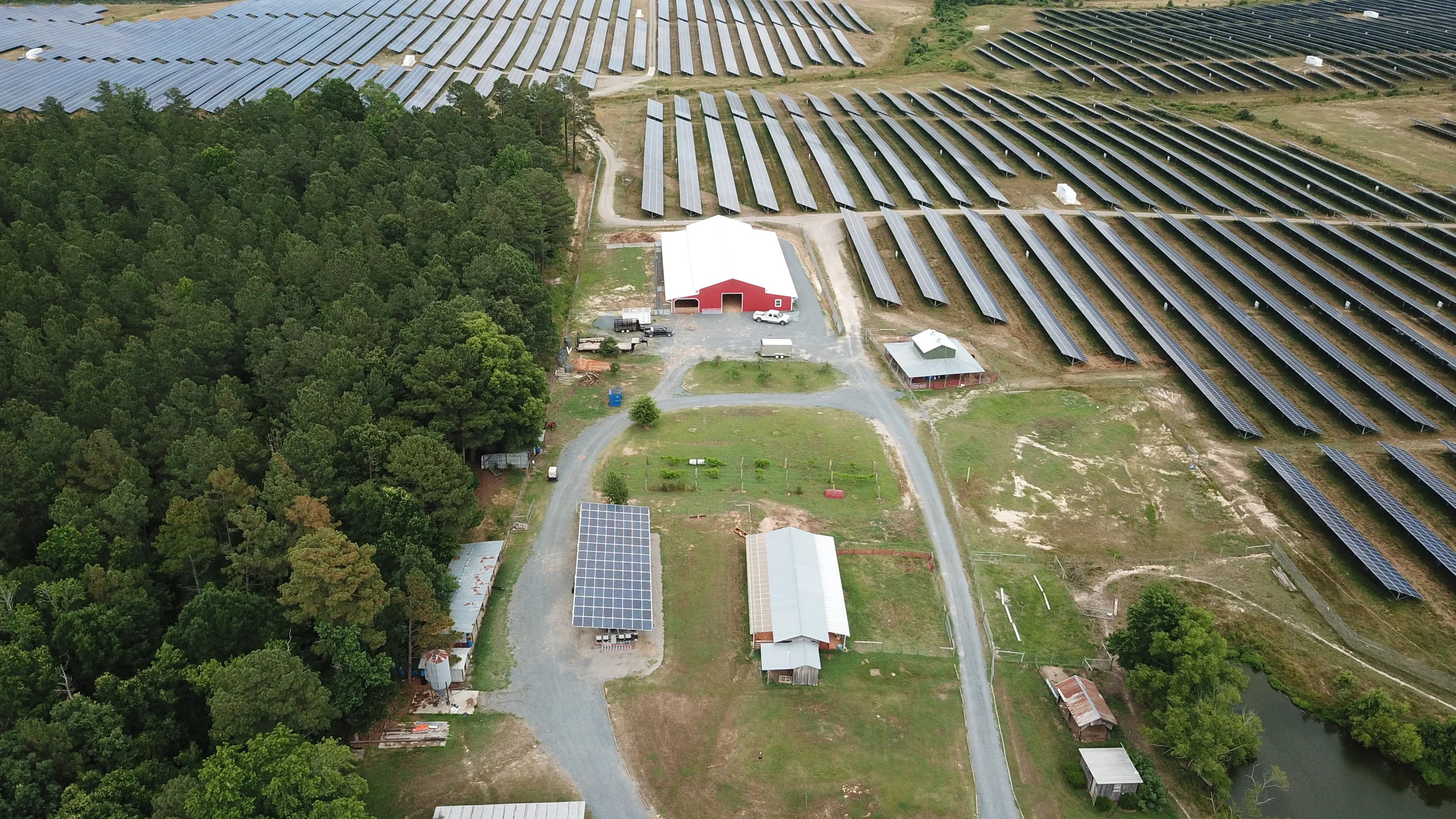 Montgomery Sheep Farm
