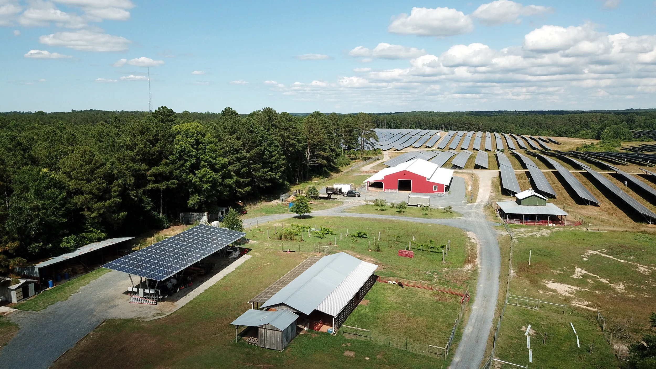 About The Farm — Montgomery Sheep Farm