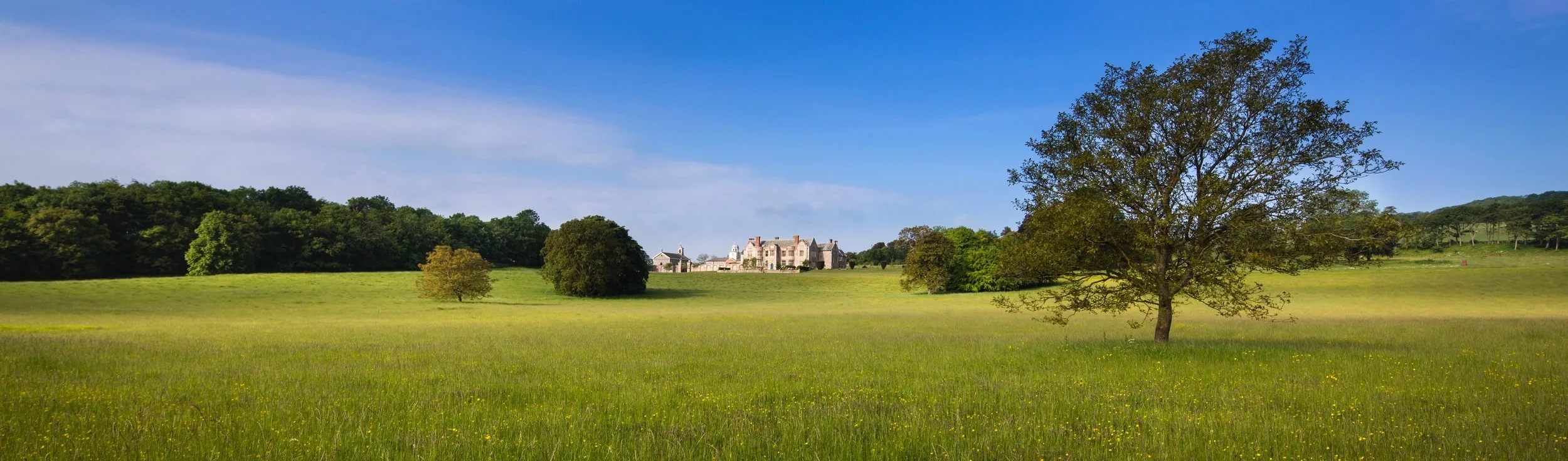 Welcome to Glynde Place