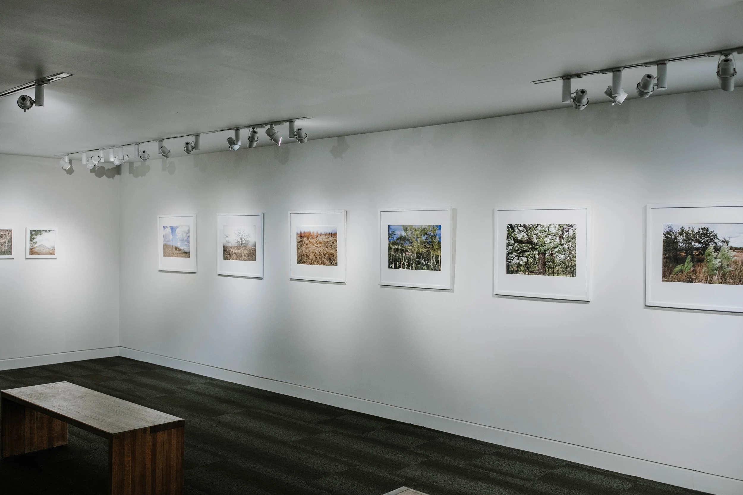 Art Gallery Dallas, TX 75210 | Texas Discovery Gardens