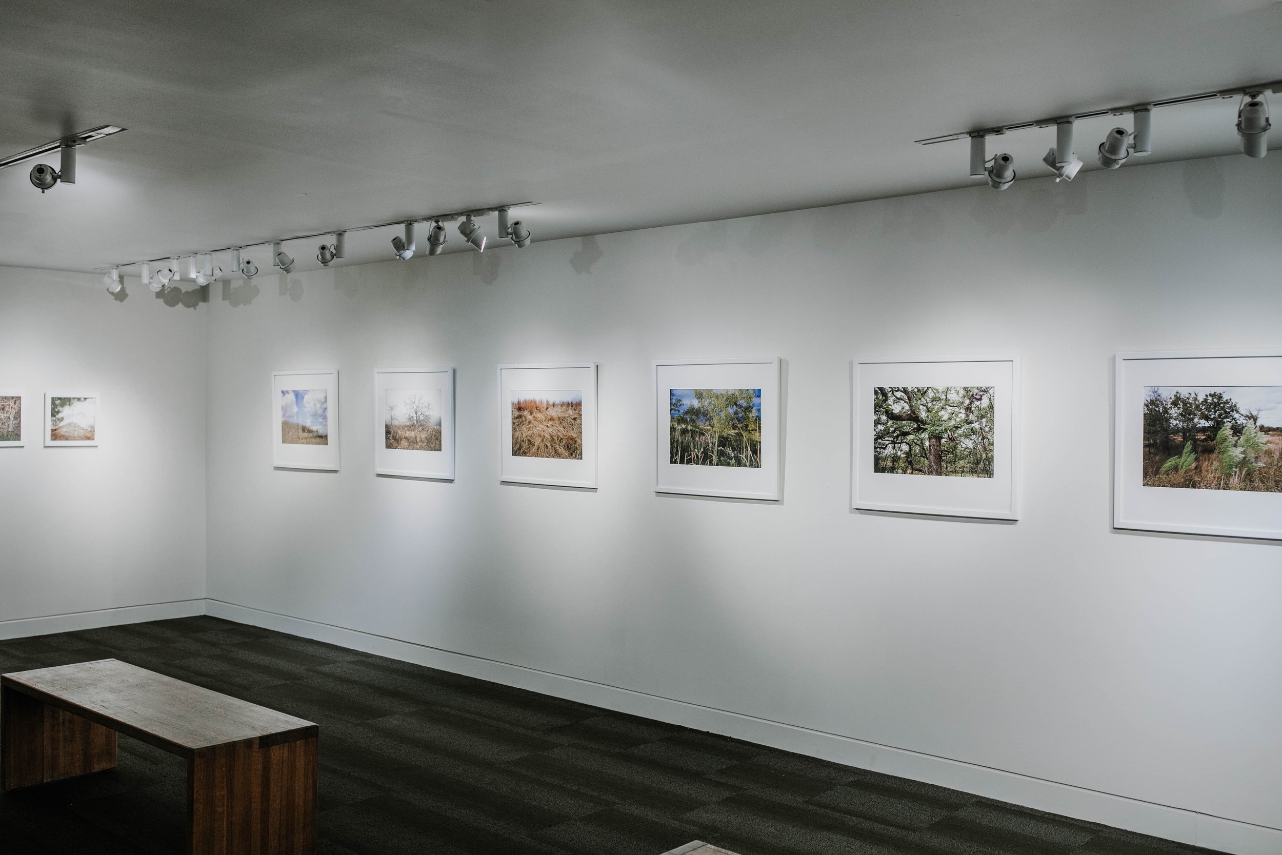 Art Gallery Dallas, TX 75210 | Texas Discovery Gardens