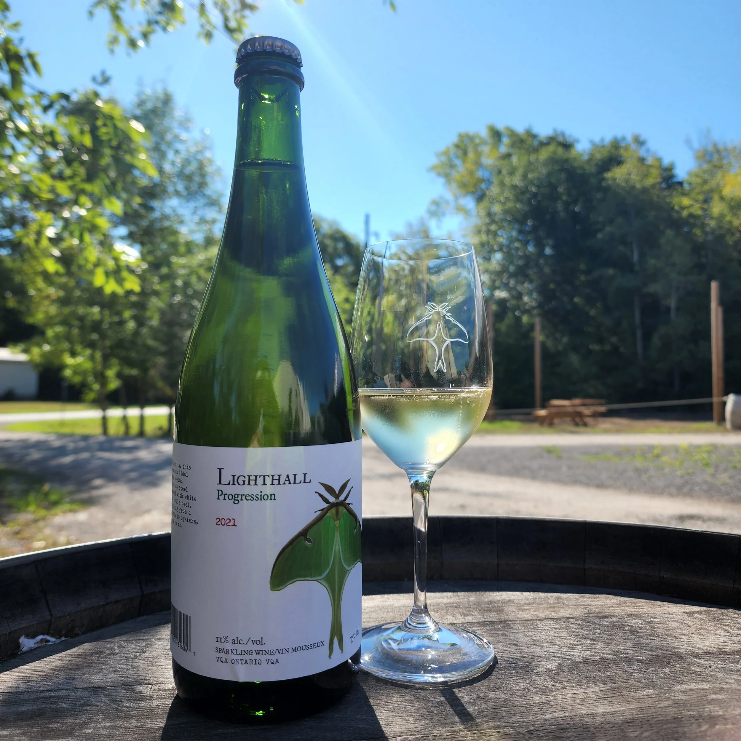 Wine — Lighthall Vineyards