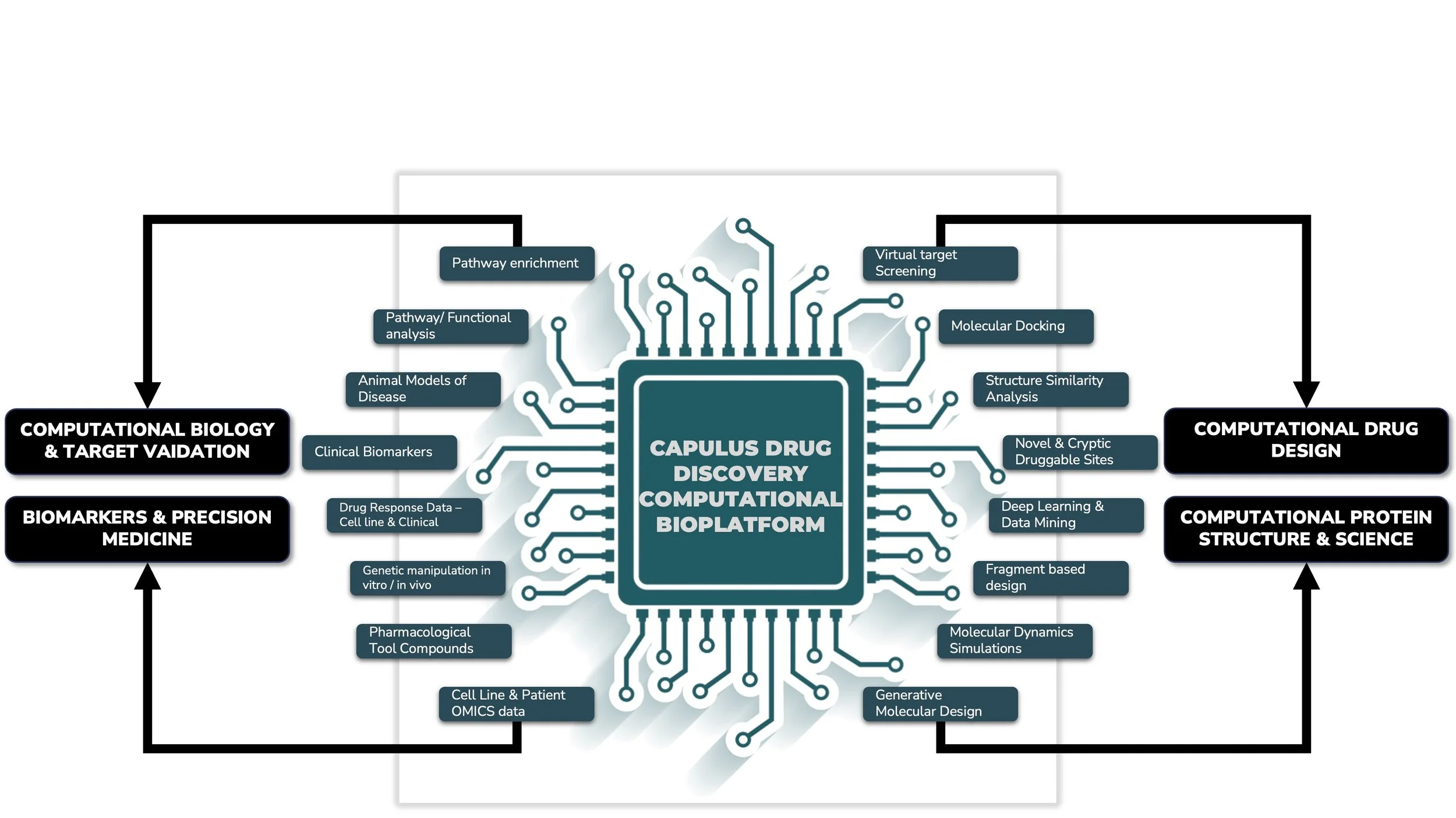 New Medicines Innovation — Capulus Therapeutics