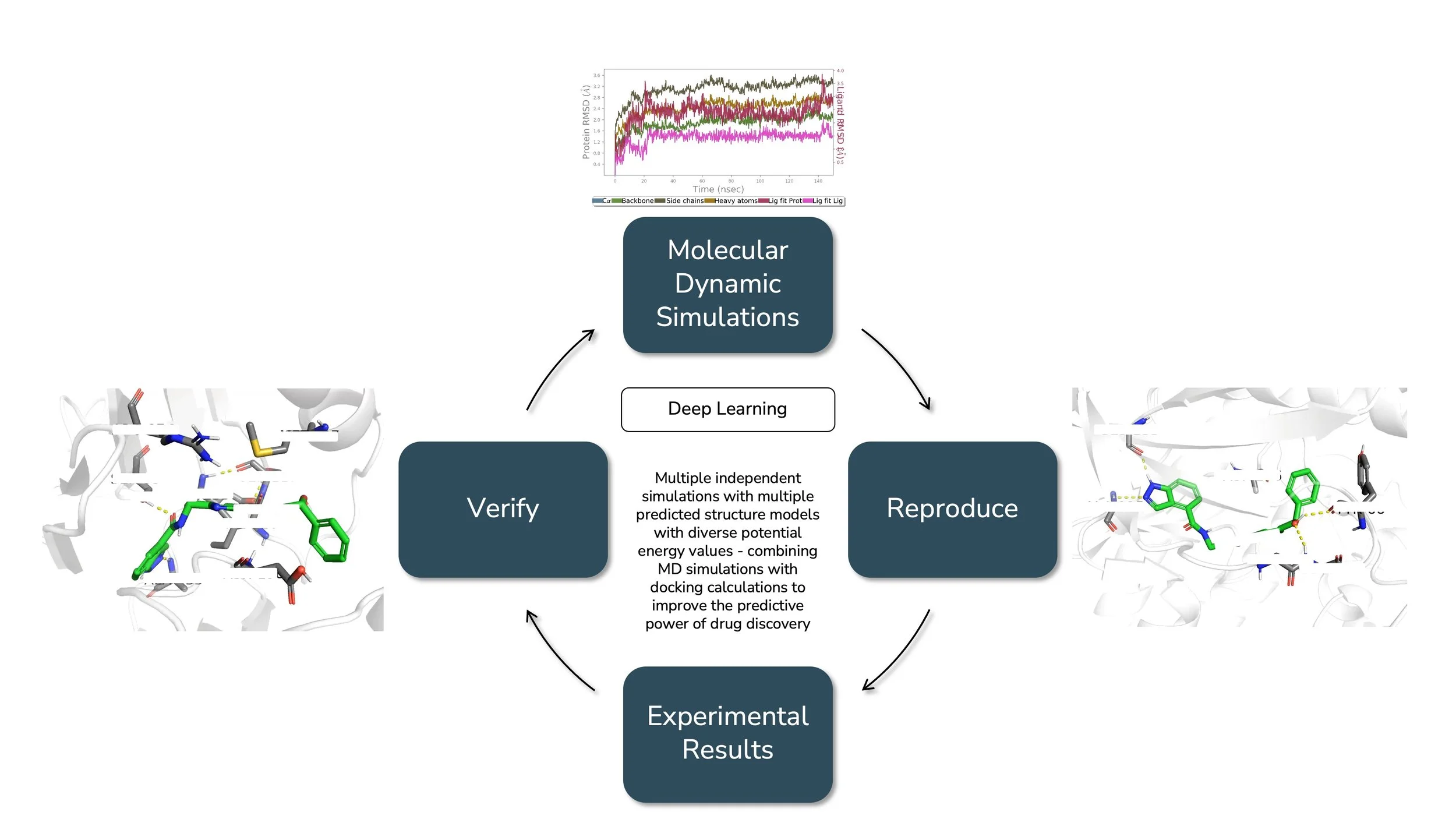 New Medicines Innovation — Capulus Therapeutics