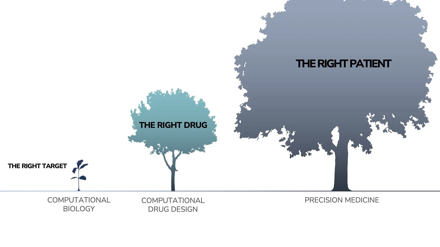 Capulus Therapeutics