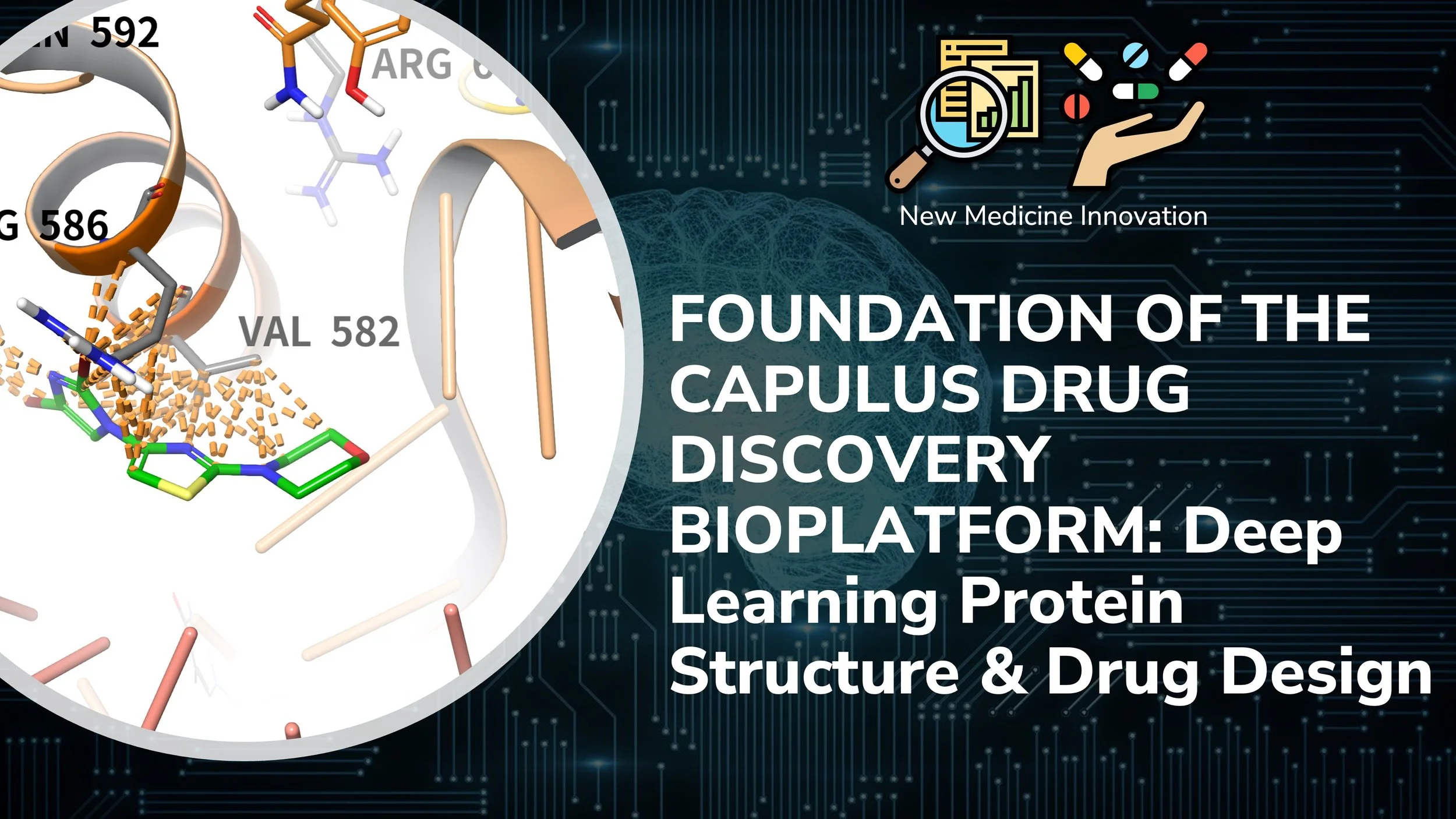 New Medicines Innovation — Capulus Therapeutics