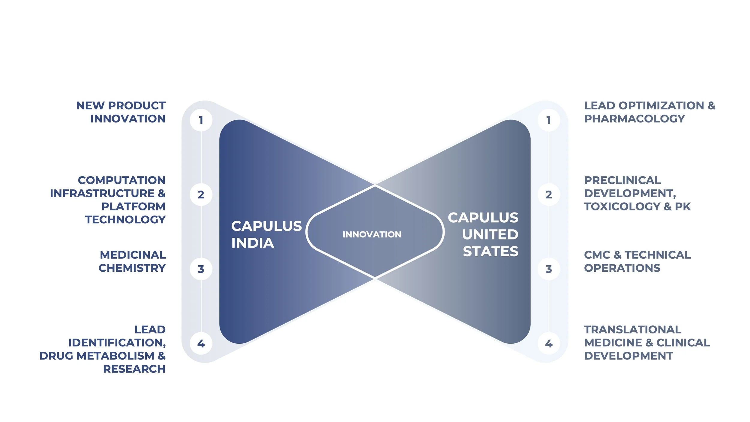 How DO WE WORK? — Capulus Therapeutics