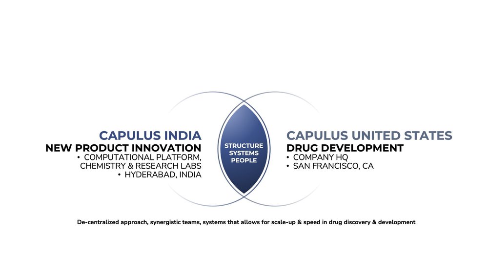 How DO WE WORK? — Capulus Therapeutics