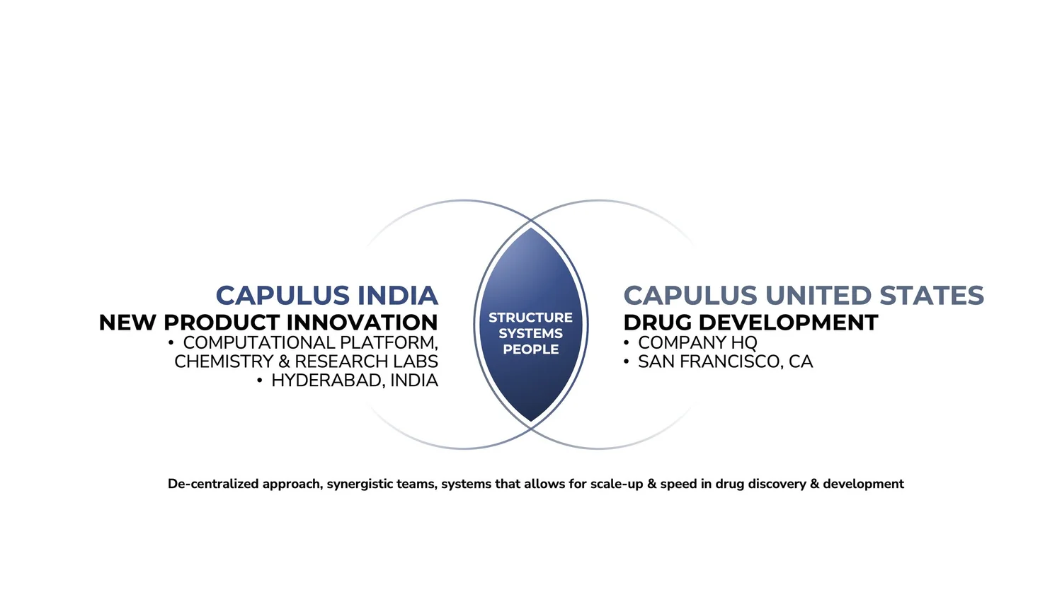How DO WE WORK? — Capulus Therapeutics