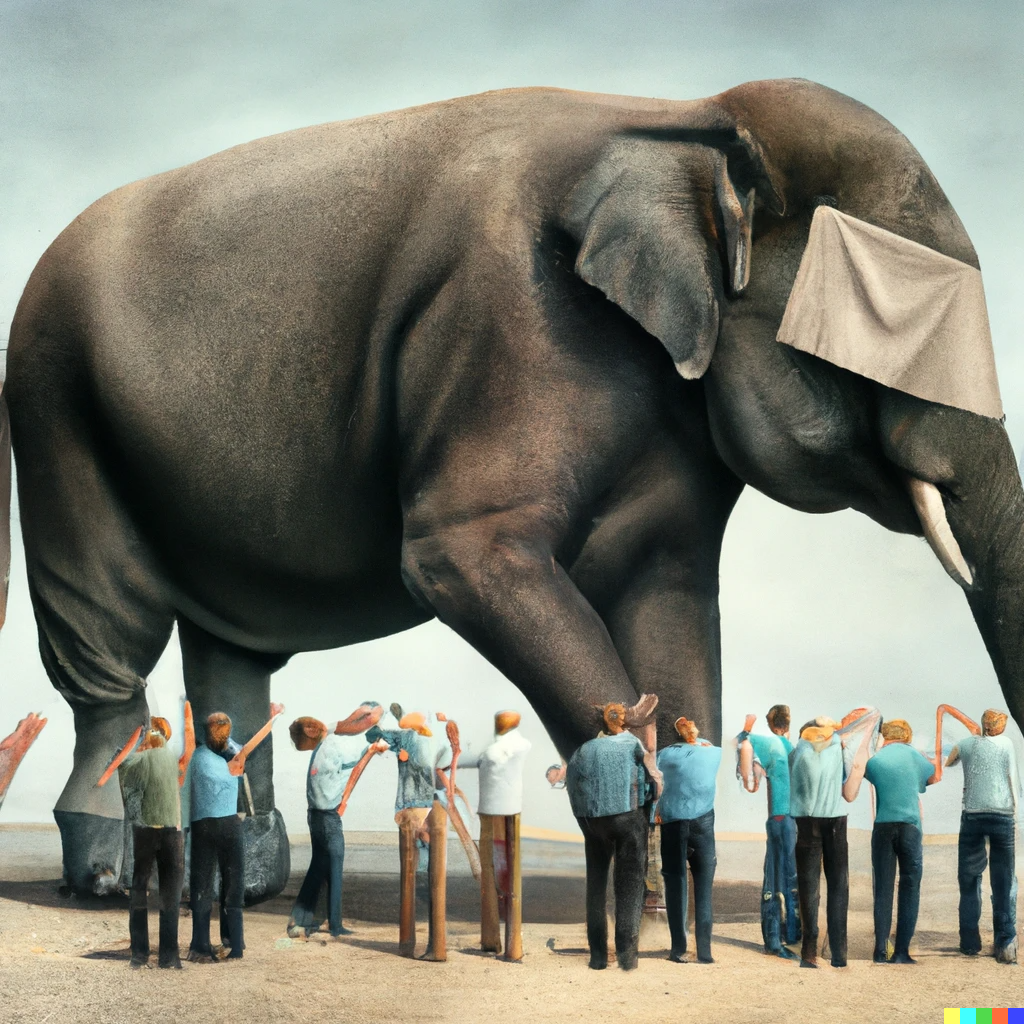 Blind Men and the Elephant — TOK RESOURCE.ORG - 2024 Blind Men and the Elephant — TOK RESOURCE.ORG - 2024