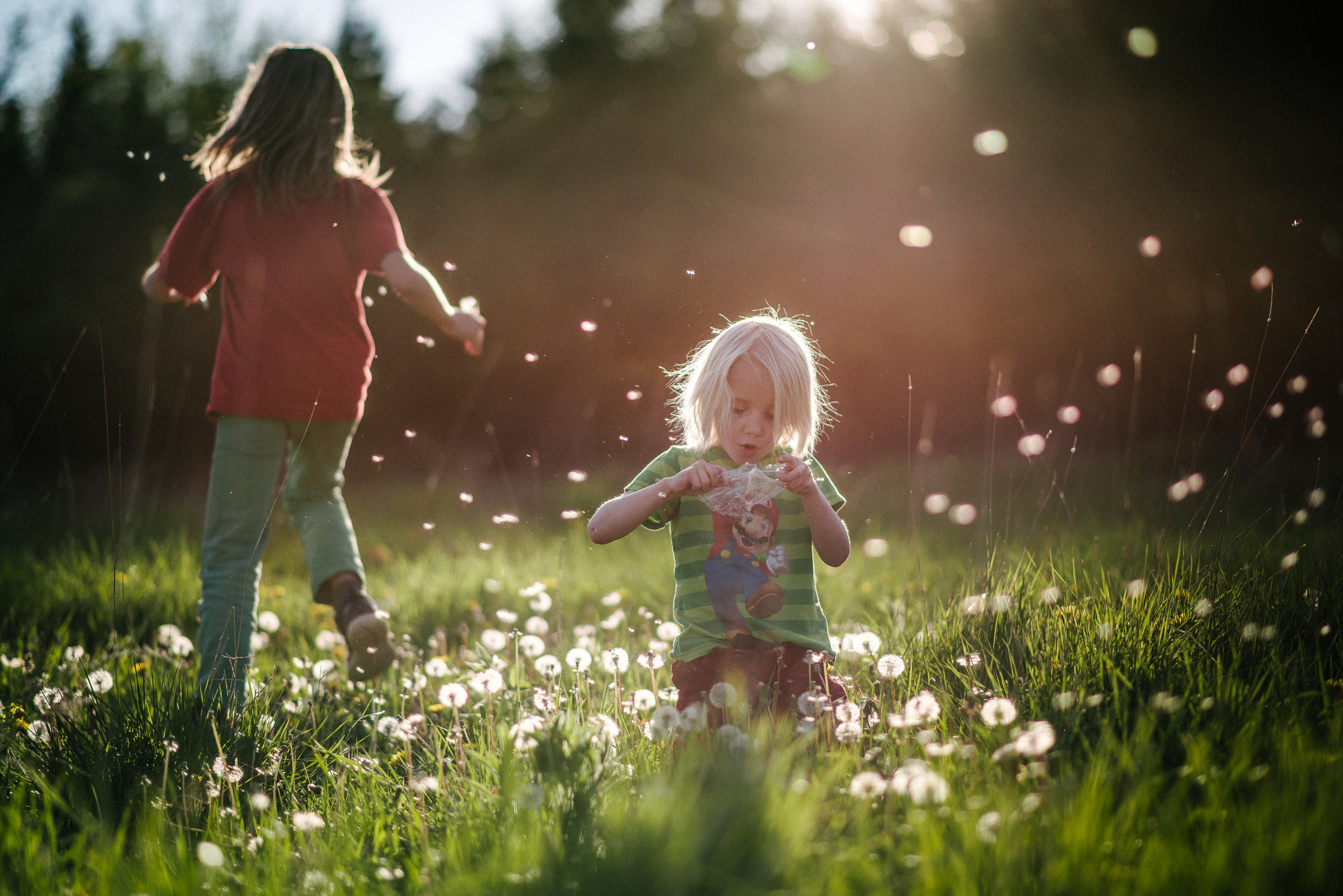 Family Photos of Real Life | Family Photos of Real Life