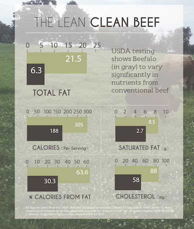 BEEFALO - A Truly Better Beef / Roadside Farm Market / Farm To Table ...