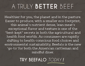 BEEFALO - A Truly Better Beef / Roadside Farm Market / Farm To Table ...