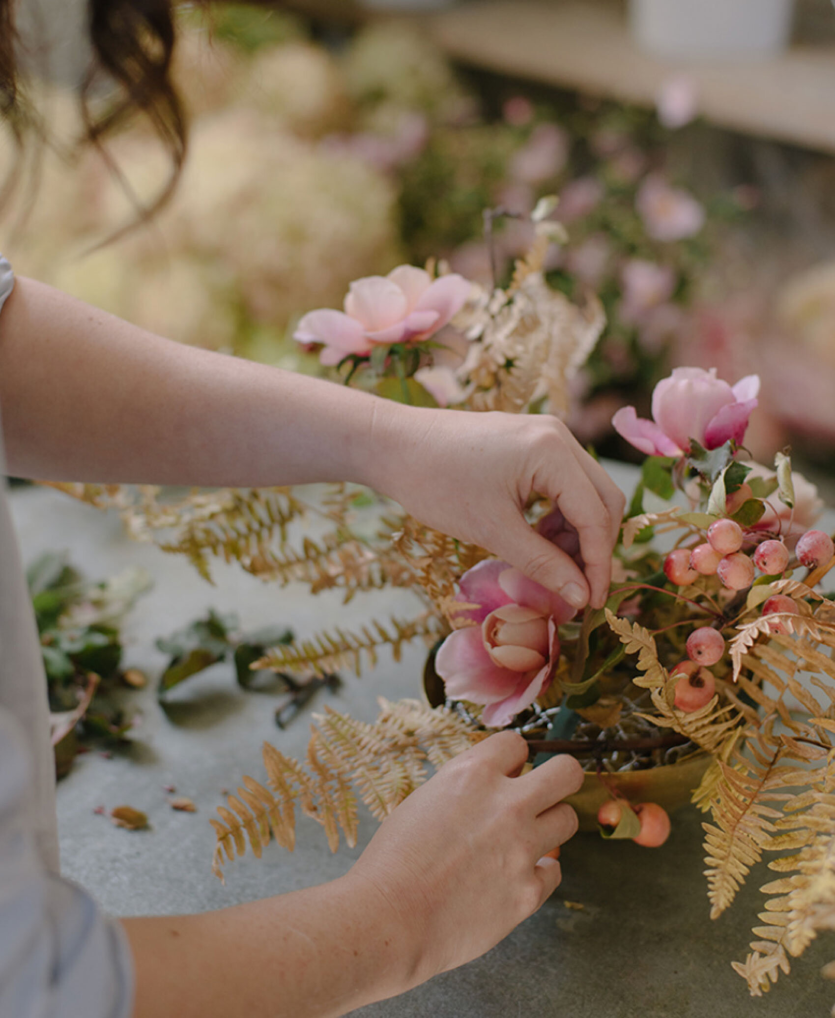 Our Story — The Petaler