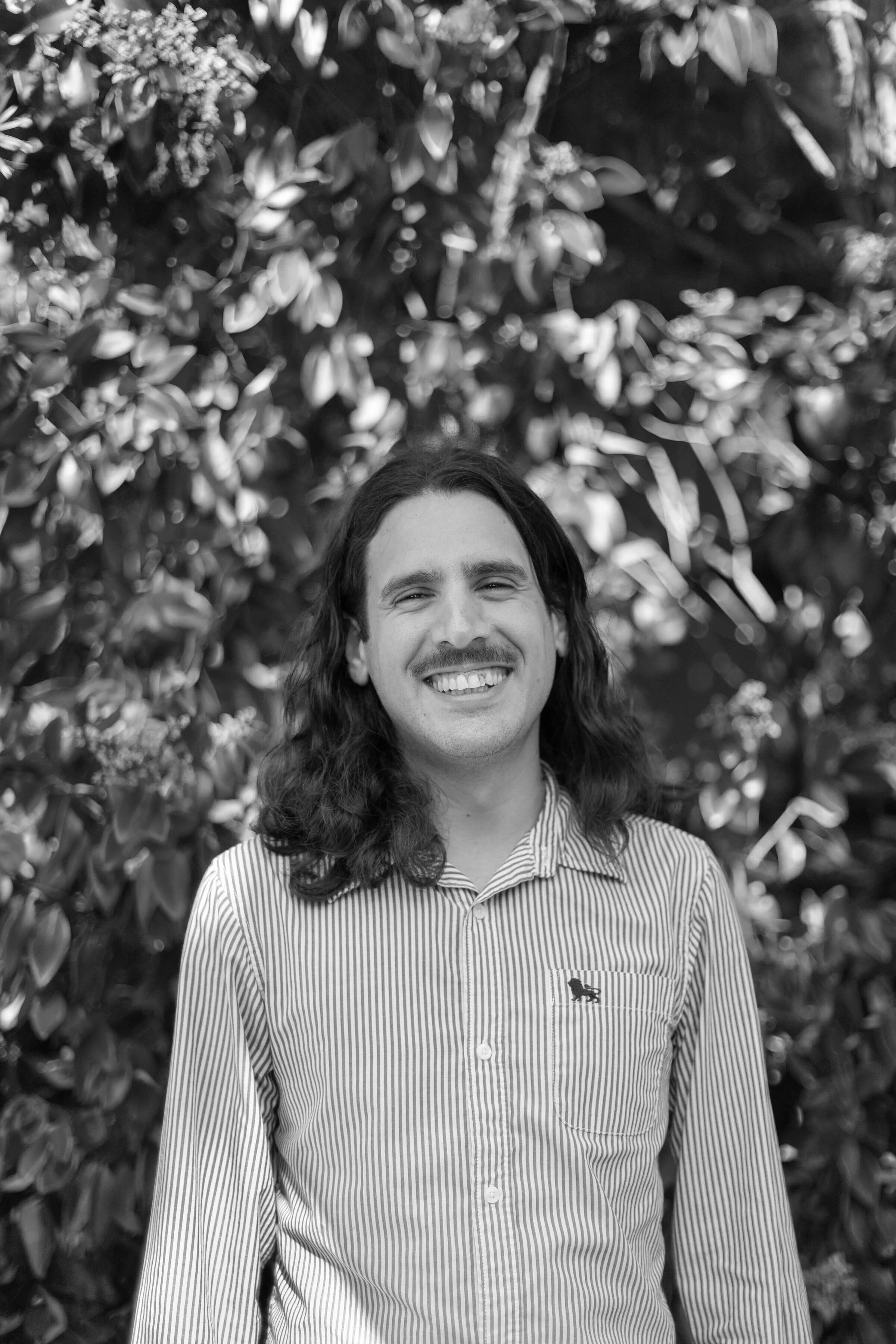 Oasis Legal Services - ABOUT — Oasis Legal Services