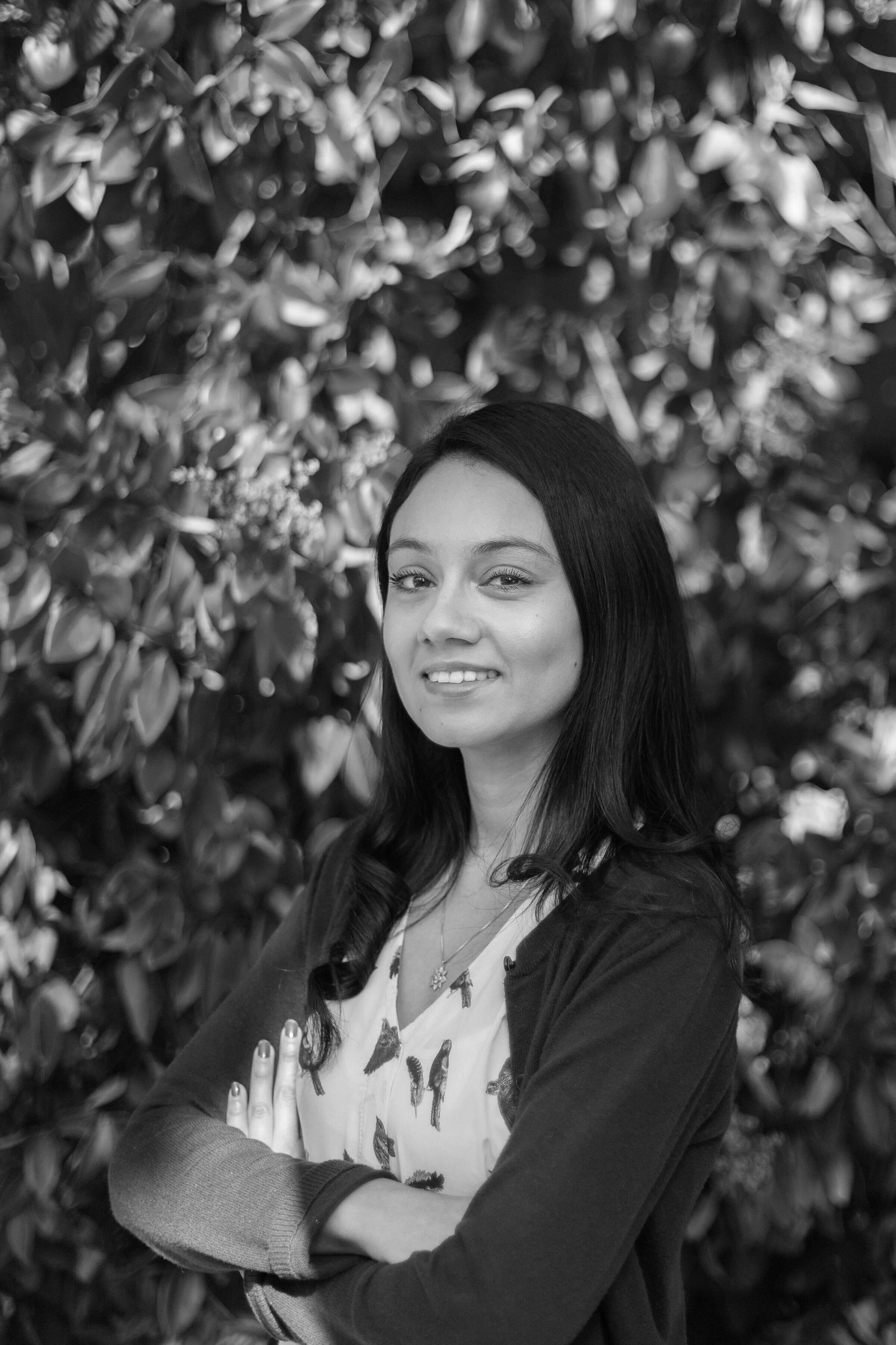 Oasis Legal Services - ABOUT — Oasis Legal Services