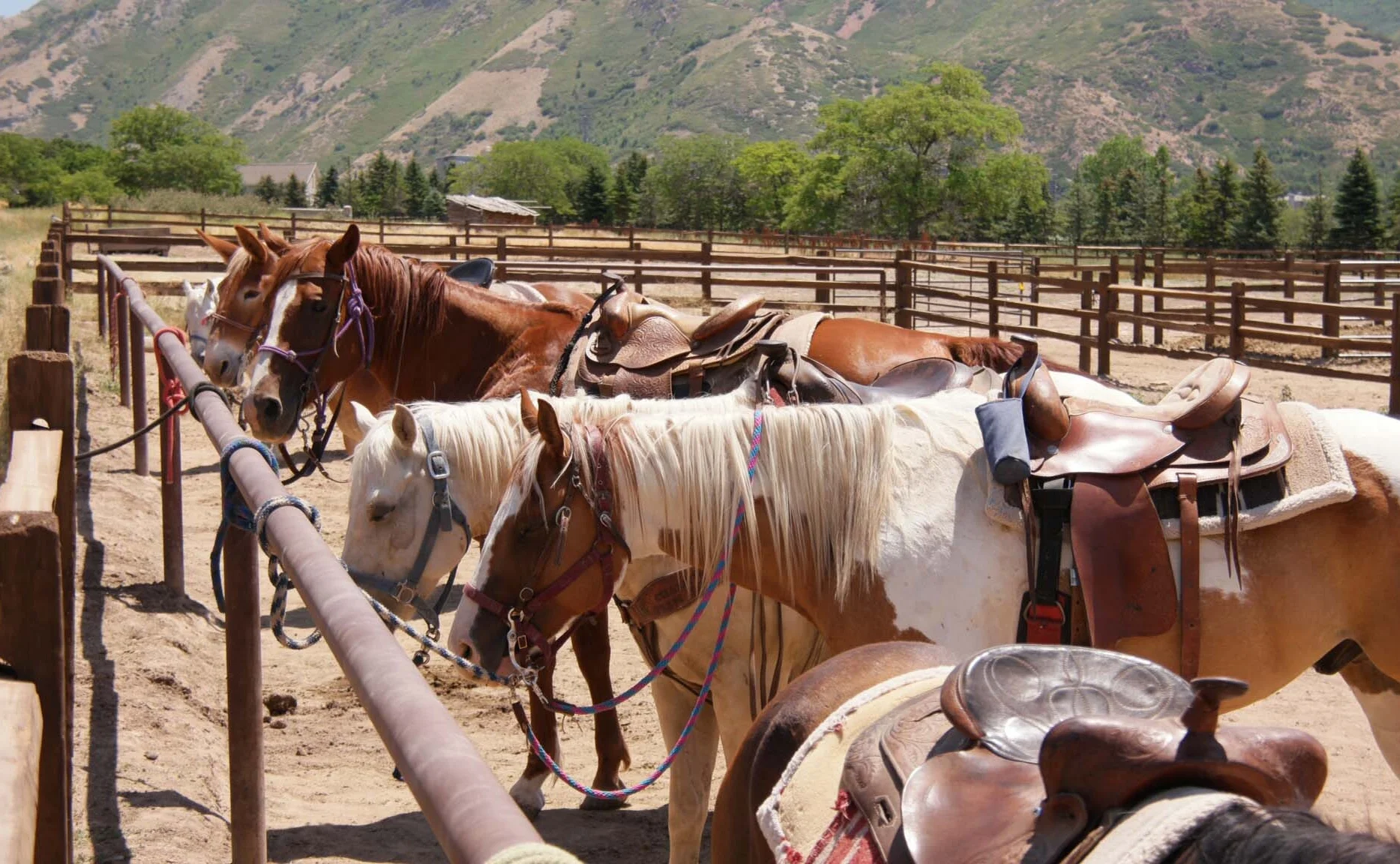 Utah Horseback Trail Rides — This Is The Place Heritage Park