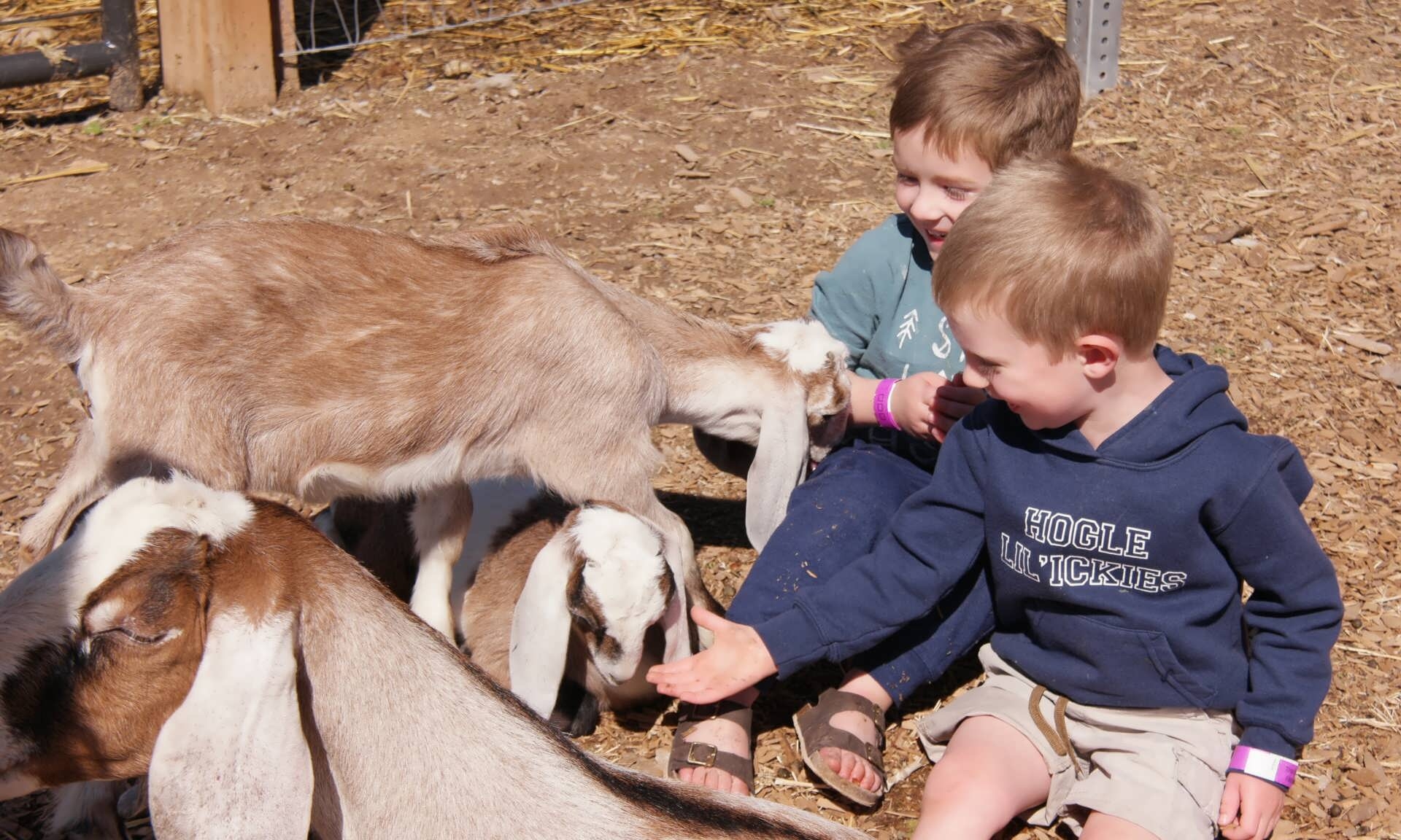 Baby Animal Celebration — This Is The Place Heritage Park