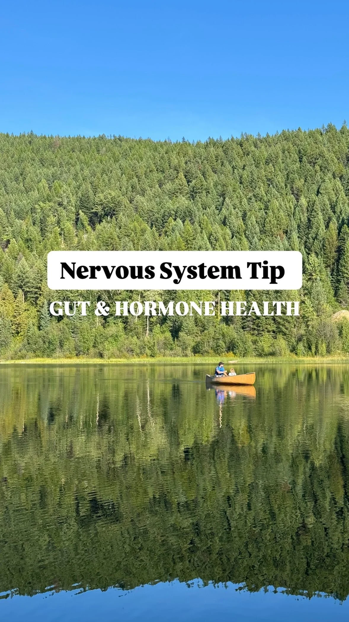 Reese Witherspoon Inspired Green Smoothie — Jordan Bruce Nutrition