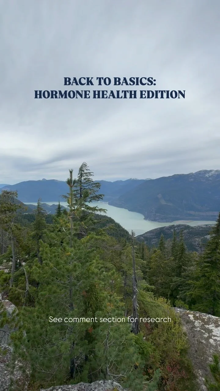 Chocolate Banana Protein Bars — Jordan Bruce Nutrition