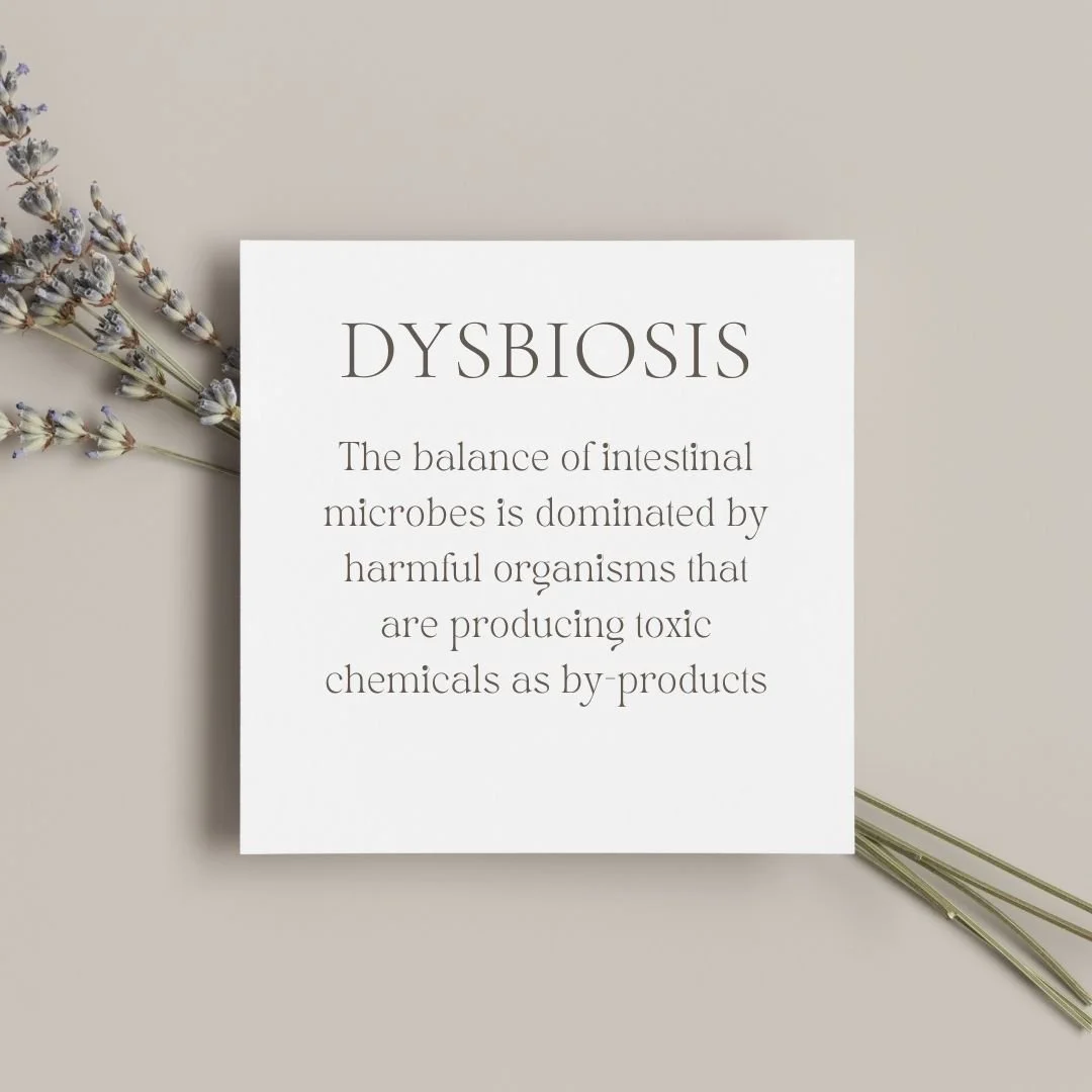 Dysbiosis: symptoms, causes and tips — Jordan Bruce Nutrition