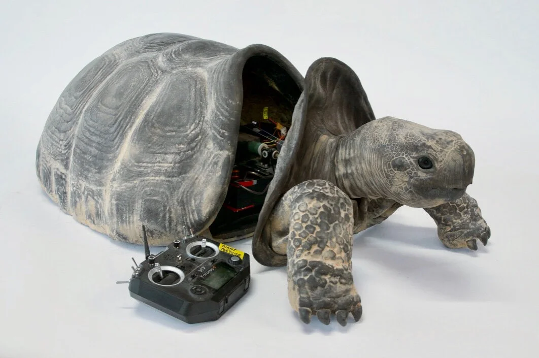 Creatures, Animatronics & Robotics | Mangostone Model and Prop Makers ...