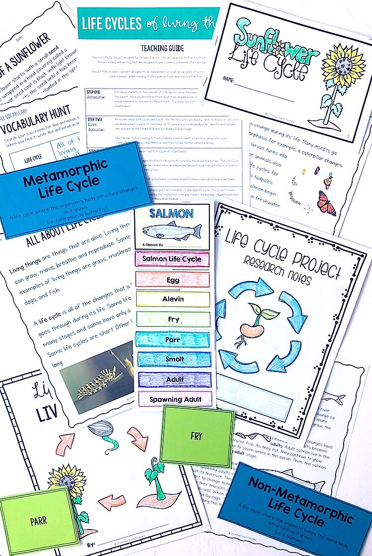 Life Cycles of Animals and Plants: 6 Engaging Ideas — Poet Prints Teaching