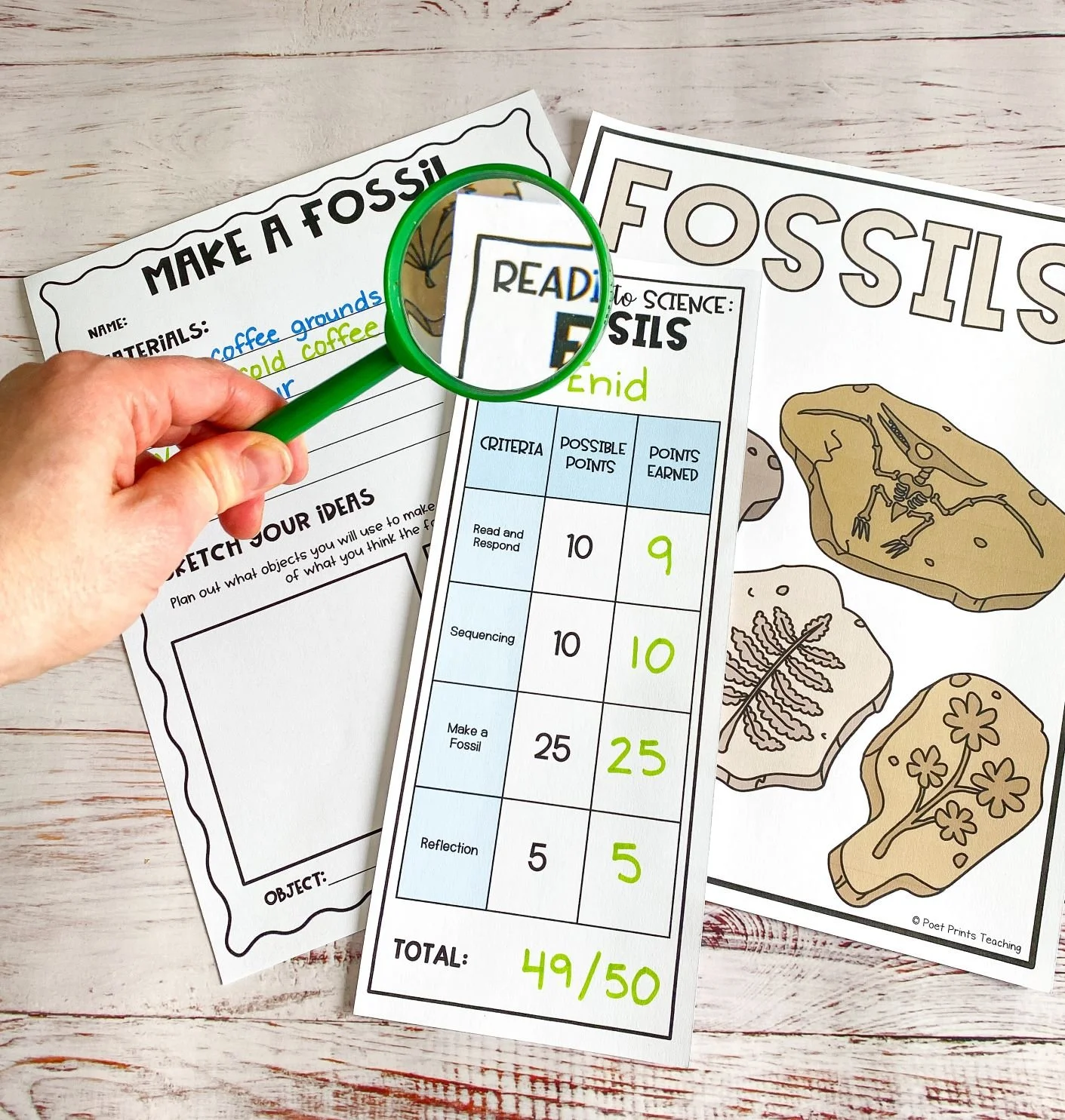 4 Lessons About Fossils for 3rd Grade — Poet Prints Teaching