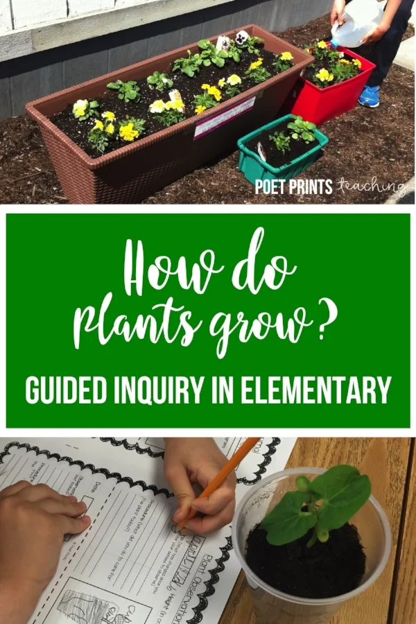 Inquiry Based Science: Plants — Poet Prints Teaching
