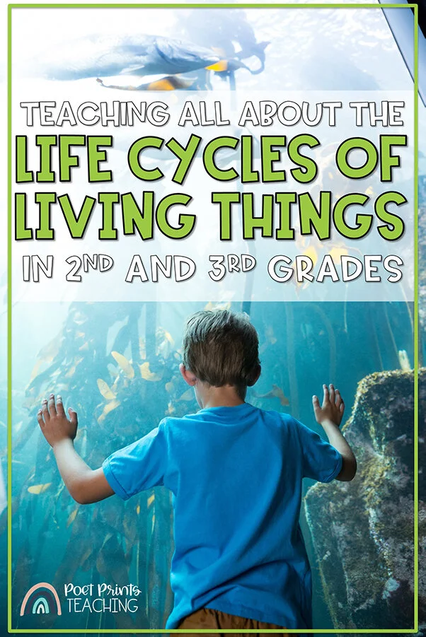 Life Cycles of Animals and Plants: 6 Engaging Ideas — Poet Prints Teaching