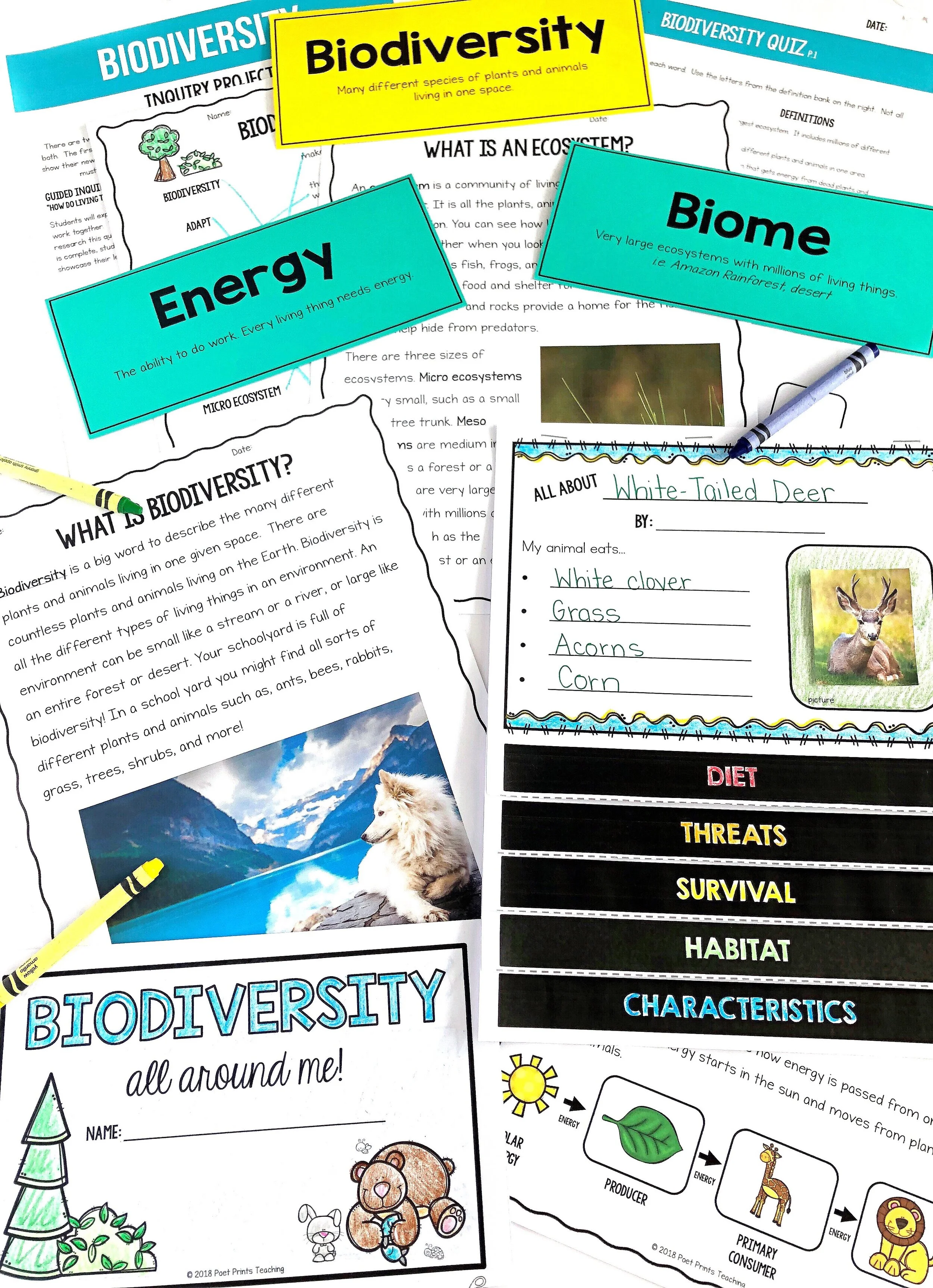 Biodiversity Science Lessons — Poet Prints Teaching