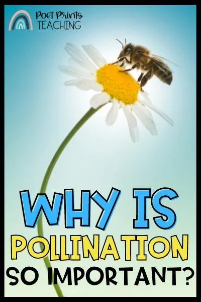 Spring Science Activities for Kids — Poet Prints Teaching