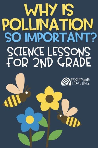 Pollination Activities for Elementary Science — Poet Prints Teaching